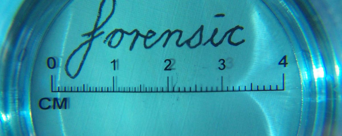 Left handed Writing In Forensic Handwriting Analysis Lyonswood